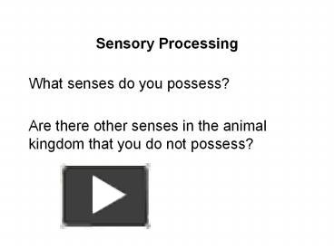 PPT – Sensory Processing PowerPoint presentation | free to download ...
