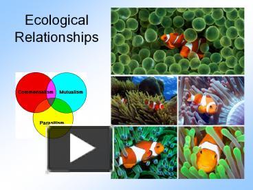 Ecological Relationships presentation | free to view