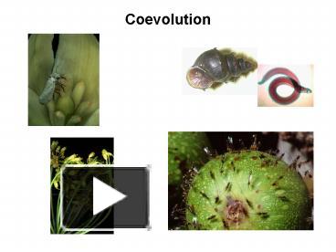 Coevolution presentation | free to view