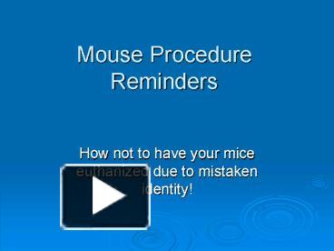 Mouse Procedure Reminders presentation | free to view