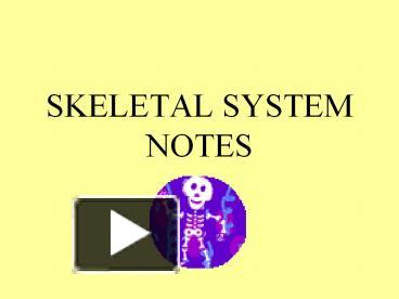 SKELETAL SYSTEM NOTES presentation | free to download