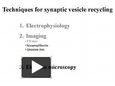 Techniques for synaptic vesicle recycling presentation | free to view