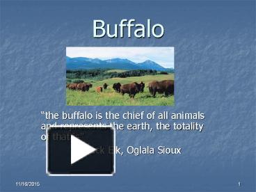 Buffalo presentation | free to view