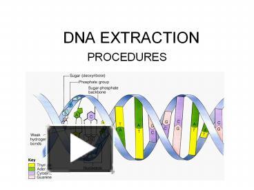 DNA EXTRACTION presentation | free to download