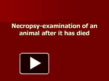 Necropsy-examination of an animal after it has died presentation | free ...
