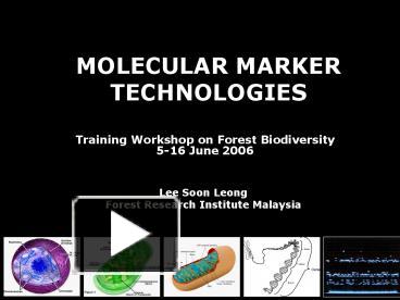 PPT – MOLECULAR MARKER TECHNOLOGIES PowerPoint presentation | free to ...