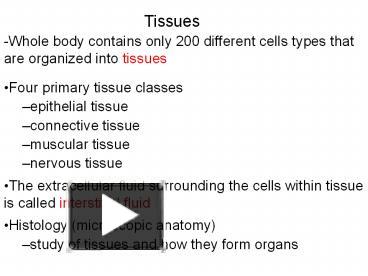 PPT – Tissues PowerPoint presentation | free to view - id: 70d1d0-NGFjN