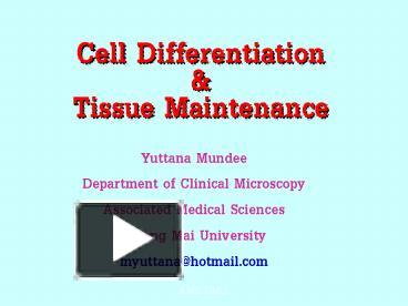 Cell Differentiation presentation | free to view