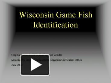 PPT – Wisconsin Game Fish Identification PowerPoint presentation | free ...