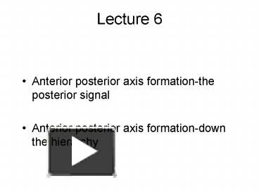 Anterior posterior axis formation-the posterior signal presentation ...