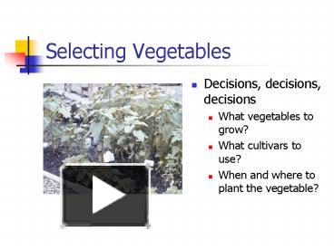 PPT – Selecting Vegetables PowerPoint presentation | free to view - id ...