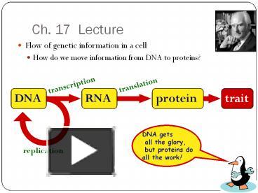 PPT – Ch. 17 Lecture PowerPoint presentation | free to view - id ...