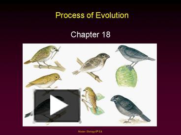 Process of Evolution presentation | free to view