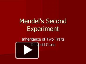 PPT – Mendel PowerPoint presentation | free to download - id: 715b02-YTUyZ