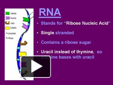 PPT – RNA PowerPoint presentation | free to view - id: 715c54-NGE0M