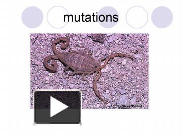 mutations presentation | free to download