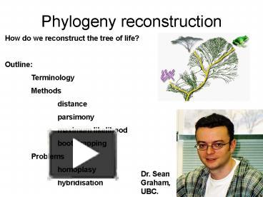 Phylogeny reconstruction presentation | free to download