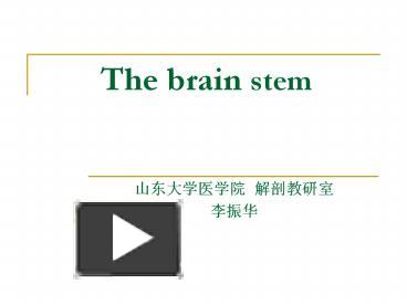 The brain stem presentation | free to view