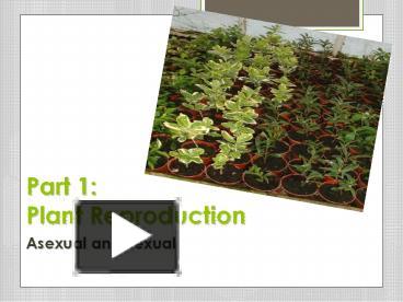 Part 1: Plant Reproduction presentation | free to download