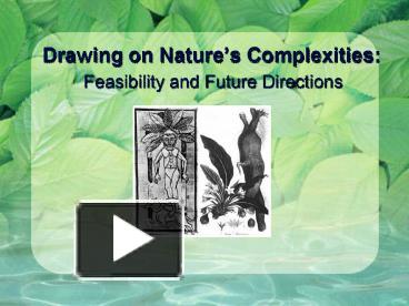 PPT – Drawing on Nature PowerPoint presentation | free to view - id ...