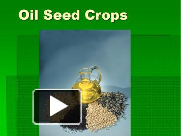Oil Seed Crops presentation | free to download