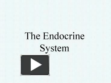 The Endocrine System presentation | free to download