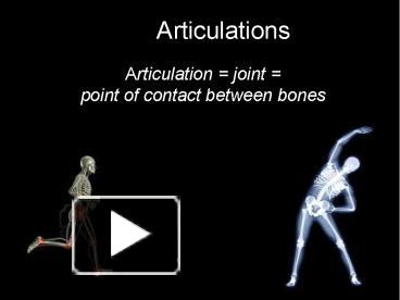 Articulations presentation | free to download