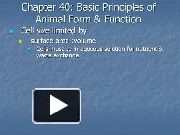 PPT – Chapter 40: Basic Principles of Animal Form PowerPoint ...