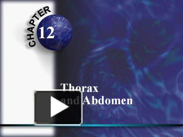 PPT – Thorax and Abdomen PowerPoint presentation | free to view - id ...