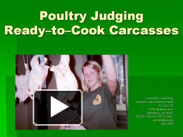 Poultry Judging Ready presentation | free to download