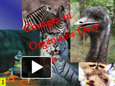 Changes in Organisms Over Time presentation | free to view