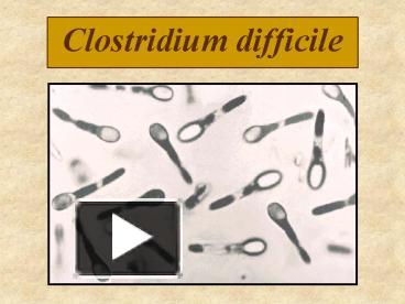 Clostridium difficile presentation | free to view
