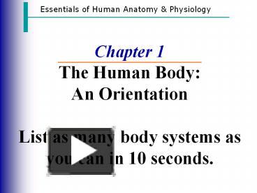 Chapter 1 The Human Body: An Orientation List as many body systems as ...