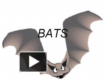 PPT – BATS PowerPoint presentation | free to view - id: 7297b-ZGY1Z