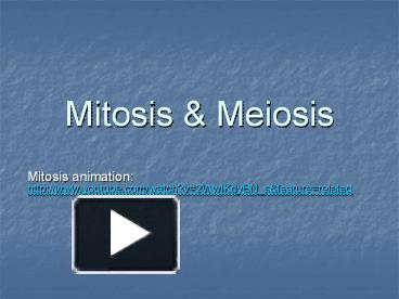 PPT – Mitosis PowerPoint presentation | free to download - id: 729af7-YTRjM