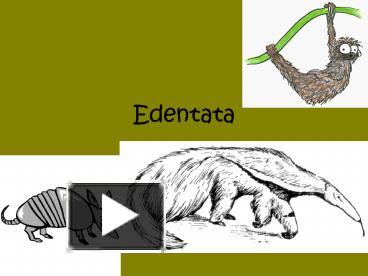 PPT – Edentata PowerPoint presentation | free to view - id: 7305bd-ZDJmM