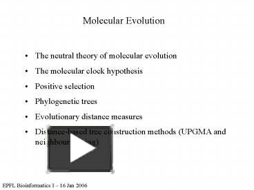 Molecular Evolution presentation | free to view