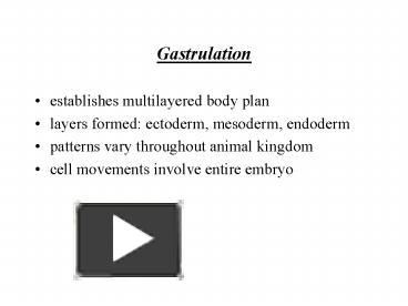 Gastrulation Ppt Self Organization In Biology | About | Elsevier