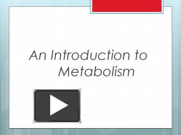 PPT – An Introduction to Metabolism PowerPoint presentation | free to ...