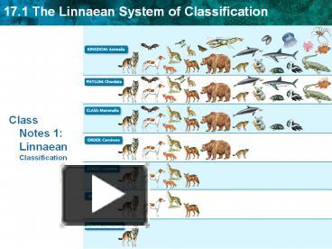 Class Notes 1: Linnaean Classification presentation | free to download