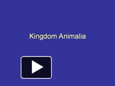 PPT – Kingdom Animalia PowerPoint presentation | free to download - id ...