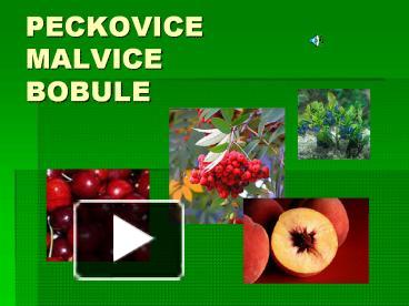 PECKOVICE MALVICE BOBULE presentation | free to view