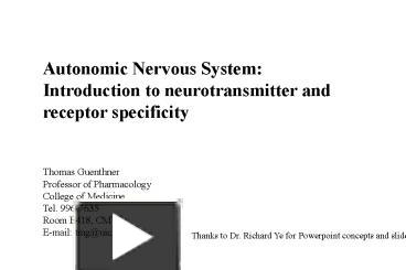 Autonomic Nervous System: presentation | free to view