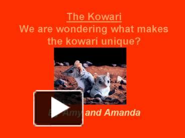 The Kowari We are wondering what makes the kowari unique presentation ...