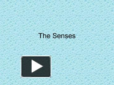 PPT – The Senses PowerPoint presentation | free to download - id ...