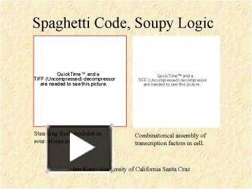 Spaghetti Code, Soupy Logic presentation | free to download
