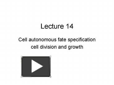 PPT – Cell autonomous fate specification PowerPoint presentation | free ...