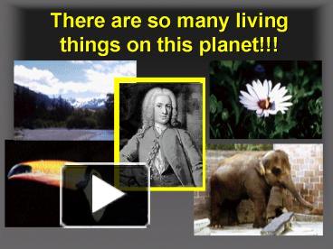There are so many living things on this planet!!! presentation | free ...