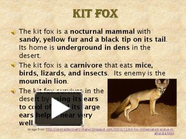PPT – Kit Fox PowerPoint presentation | free to view - id: 745dad-NWIzM