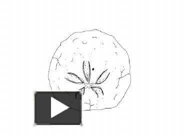 Digital Design presentation | free to view